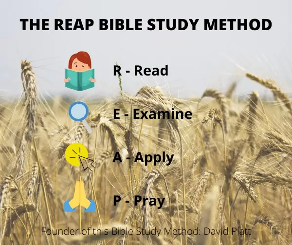 The REAP Bible Study Method - WISDOM FROM HEAVEN